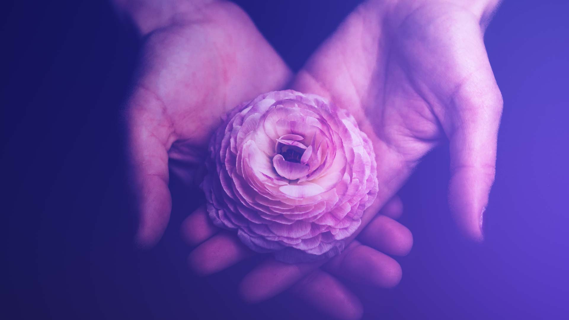 La ciencia de curar y el arte de sanar - Jorge Carvajal